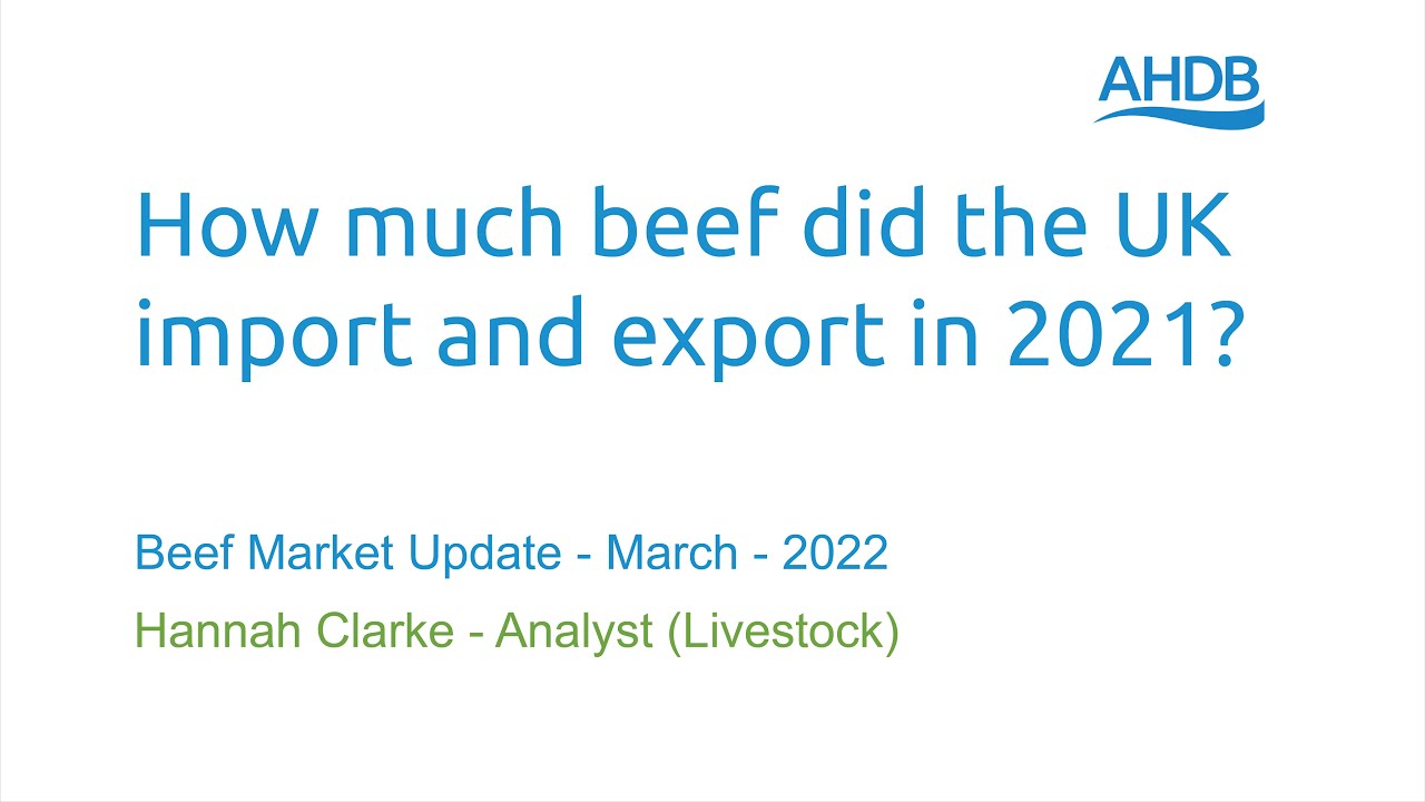How much beef did the UK import and export in 2021? – Beef Market ...