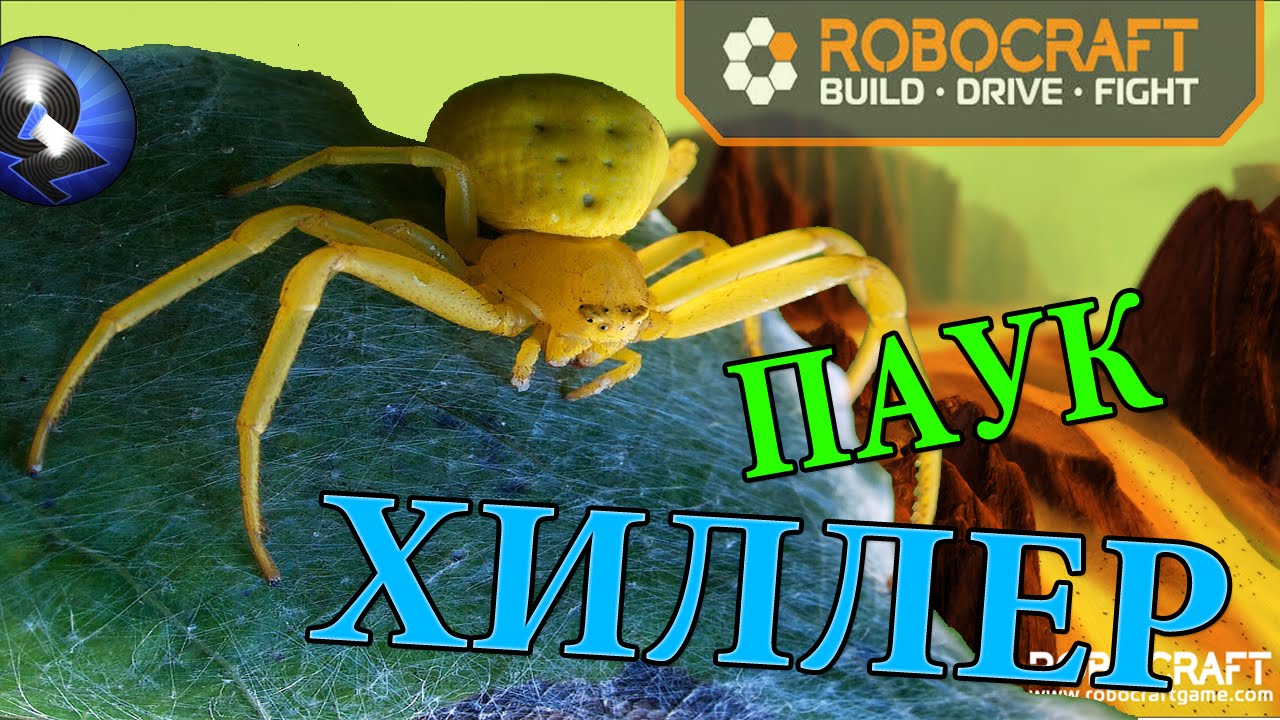 SPIDER - [RoboCraft] Паук в РобоКрафте - YouTube