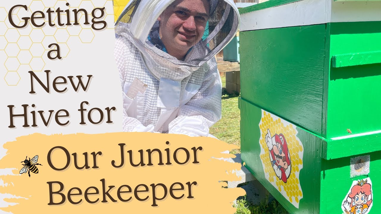 OUR JUNIOR BEEKEEPER TAKES FLIGHT | BEE HIVES | BEEKEEPING - YouTube