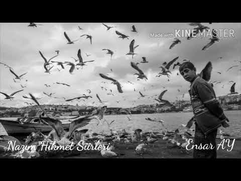 Nazım Hikmet şiirleri Bir fotoğraf