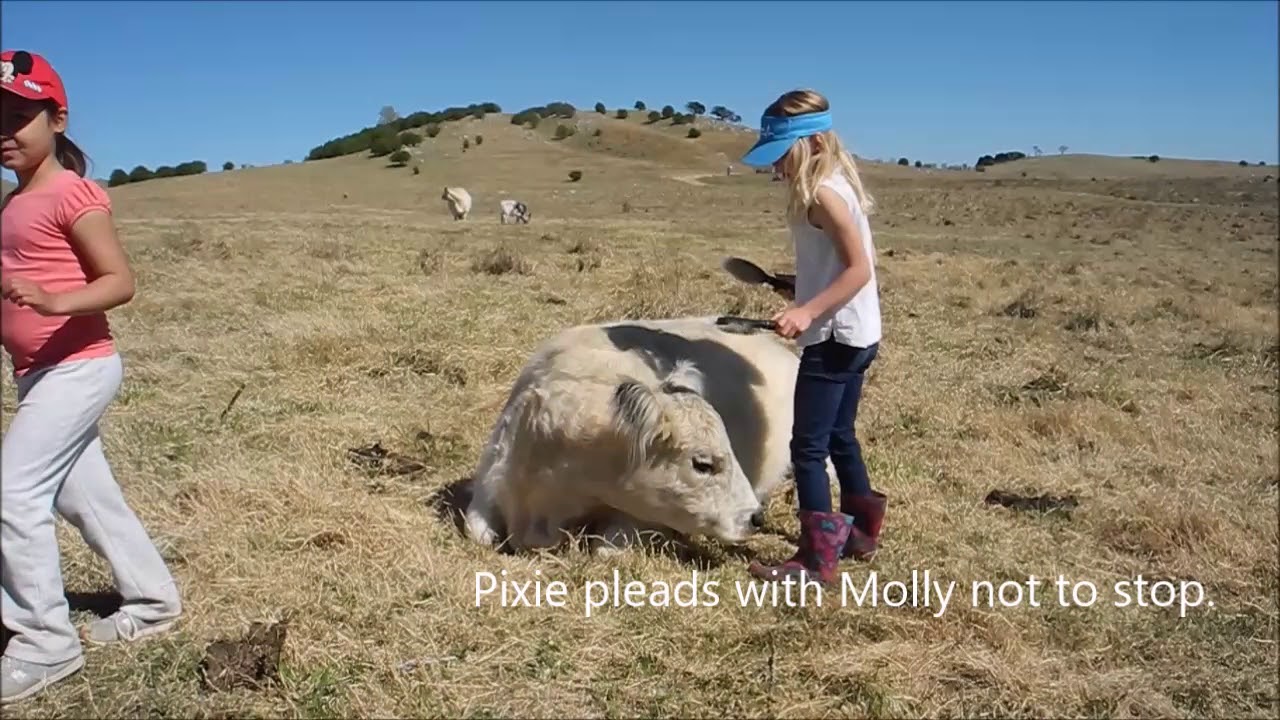 Pixie and Molly - YouTube