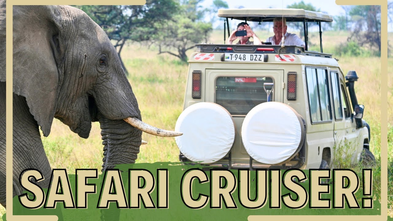 Jump Inside a SAFARI VEHICLE 🦁 and See Incredible Animals on an African ...