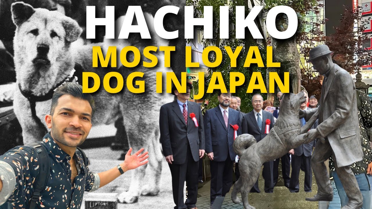 Story of Most Loyal Dog in Tokyo Japan | Hachiko - YouTube