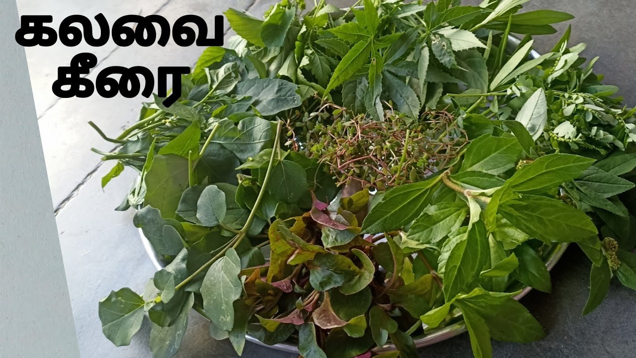 கலவை கீரை கடையல் || How to cook kalavai keerai kadaiyal || kalavai ...