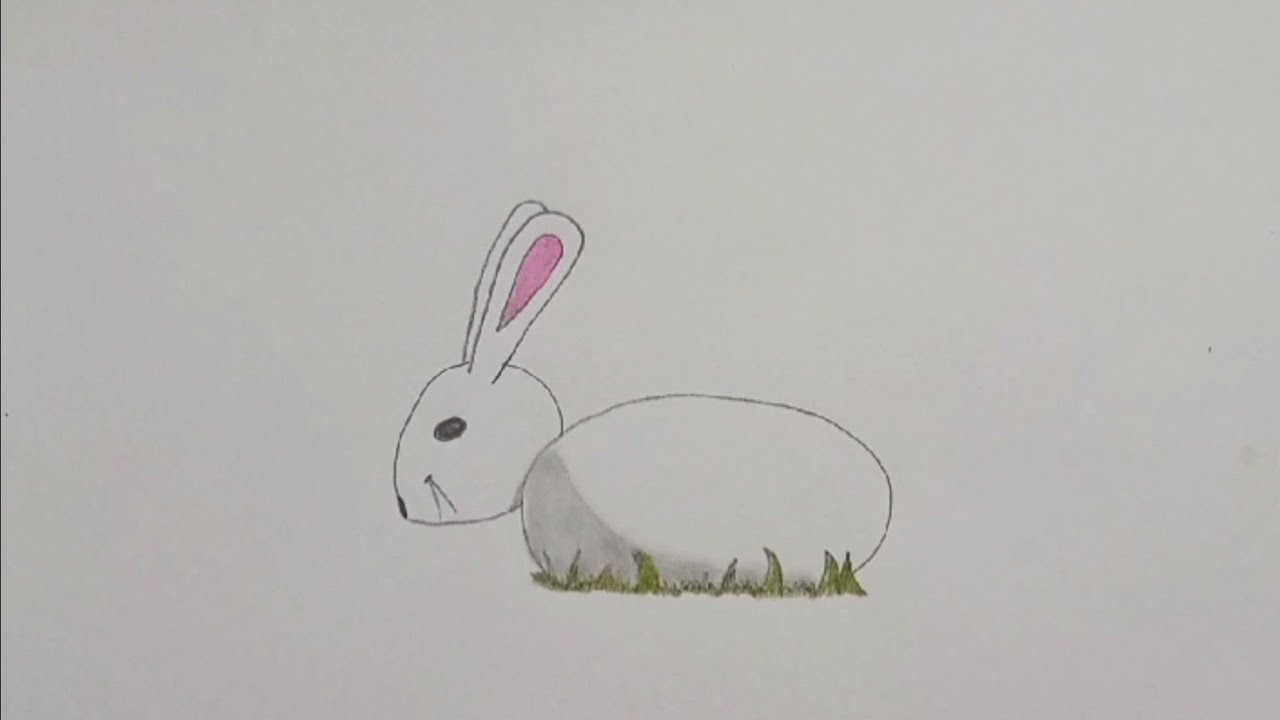 Rabbit Drawing - How To Draw A Simple Rabbit Drawing - YouTube