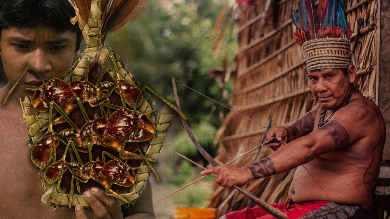 ប្រពៃណីចម្លែកនៃកុលម្ព័ន្ធMawé - Epic traditions of the Mawé tribe @i ...