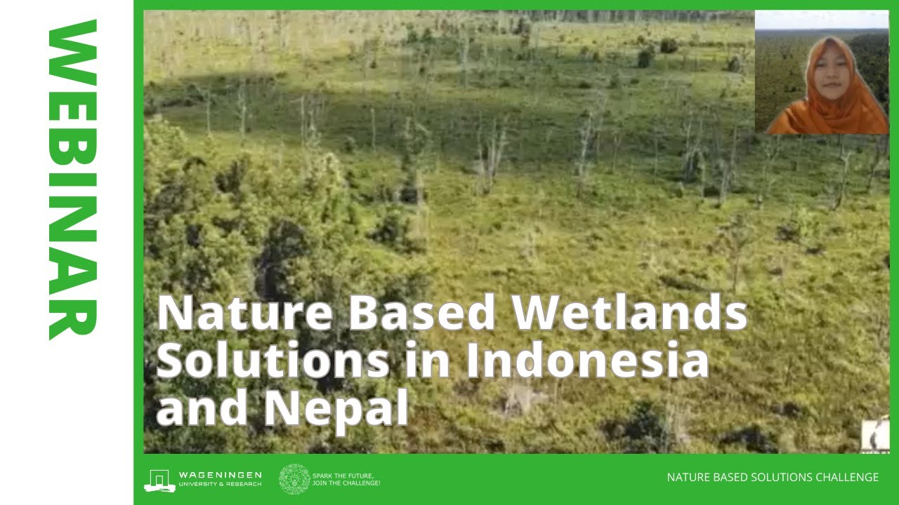 Webinar Nature Based Wetlands Solutions in Indonesia and Nepal - YouTube