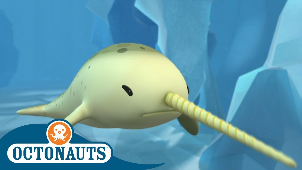#StayHome Octonauts - Needle Nose | Full Episodes | Cartoons for Kids ...