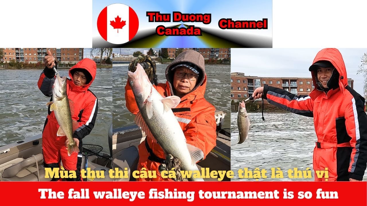 Fall walleye fishing tournament is so fun-thu duong canada channel ...