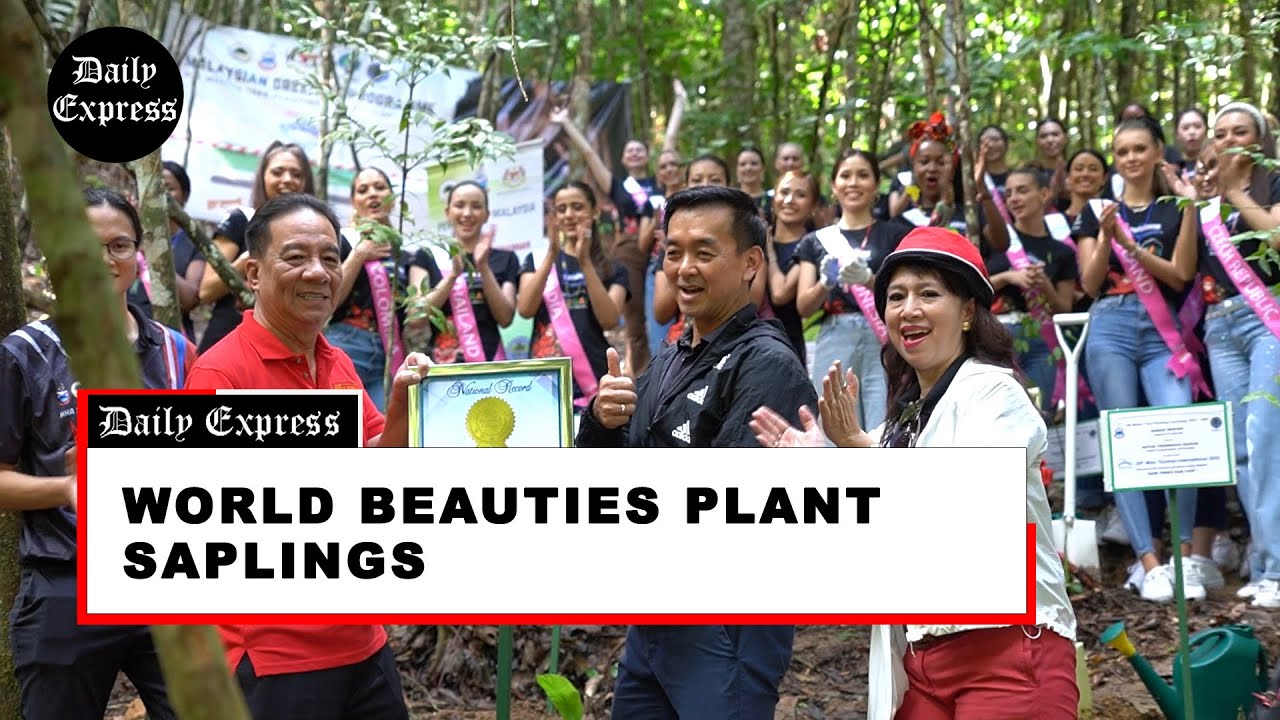 World beauties plant saplings - YouTube
