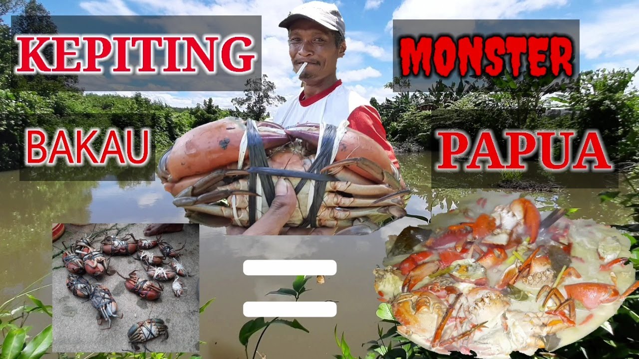 MENCARI KEPITING MONSTER PAPUA??? ||KEPITING BAKAU PAPUA!!! #001 - YouTube