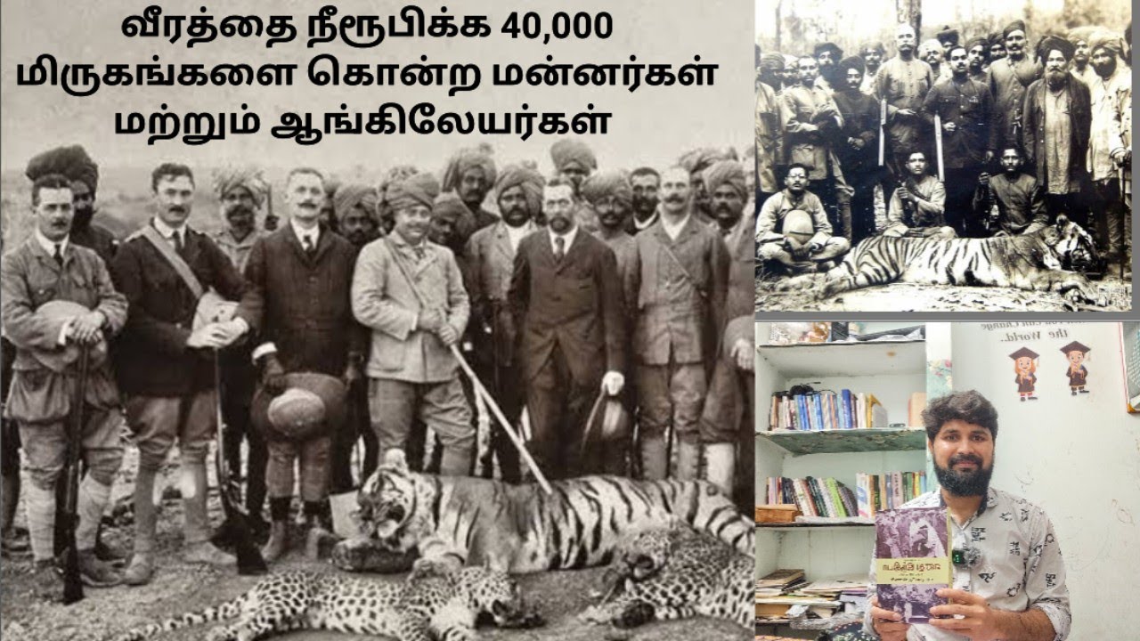பெருமைக்காக இந்தியாவில் வேட்டையாடப்பட்ட புலிகள்🐅.எனது இந்தியா book ...