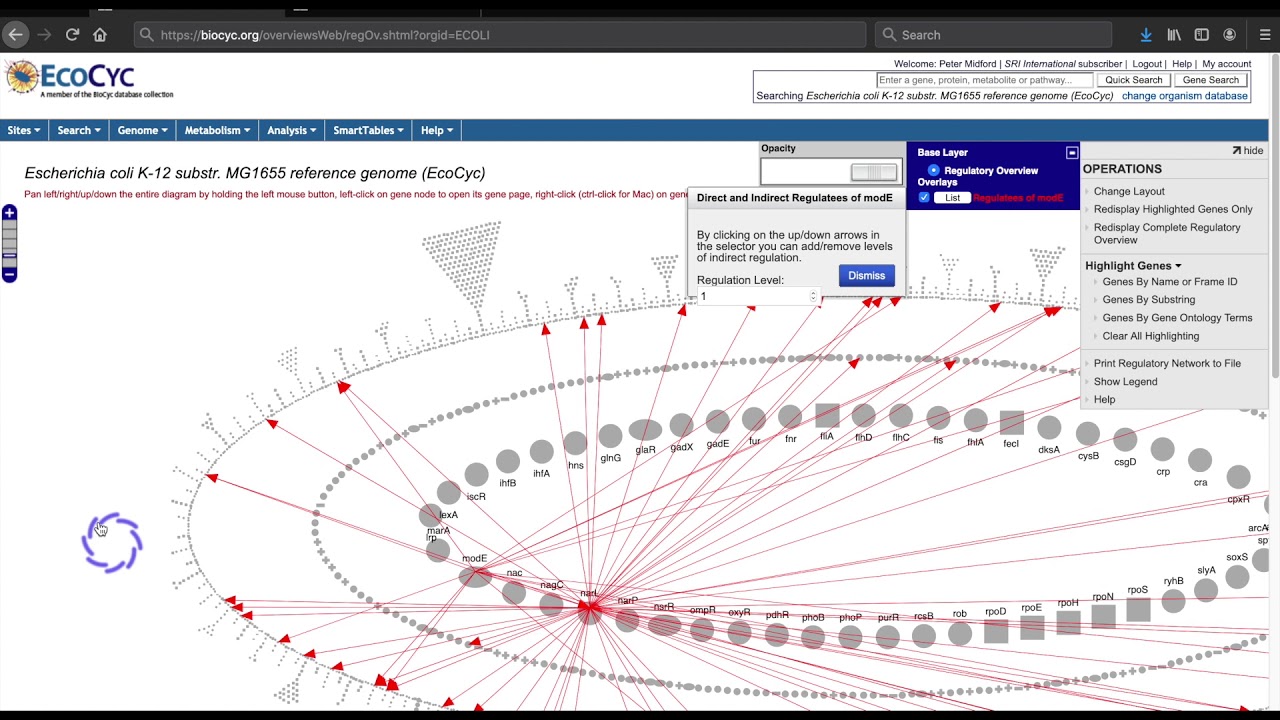 Regulatory Overview Tutorial 2021 - YouTube