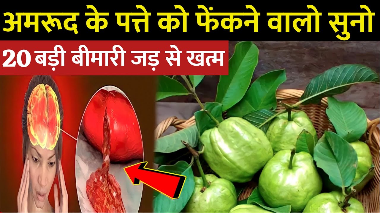 अमरूद के पत्ते फेंकने वालो में वीडियो देख लो || Amrood Ke Patton Ke ...