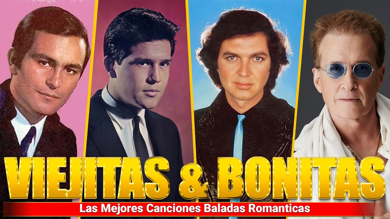 Grandes Éxitos: Leonardo Favio, Leo Dan, Camilo Sesto, Emmanuel y más ...