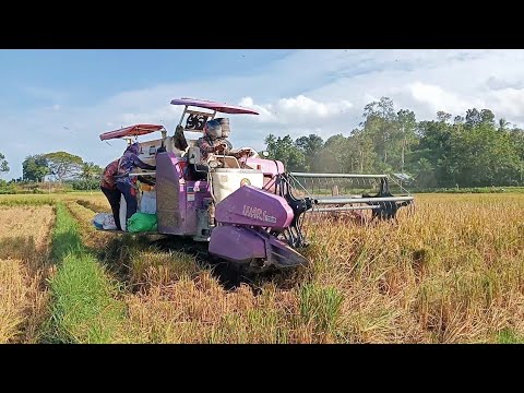 The latest INARI rice cutting machine 2025 @cutrice24 - YouTube