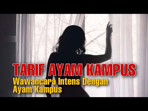 WAWANCARA INTENS DENGAN AYAM KAMPUS - Tarif Ayam Kampus