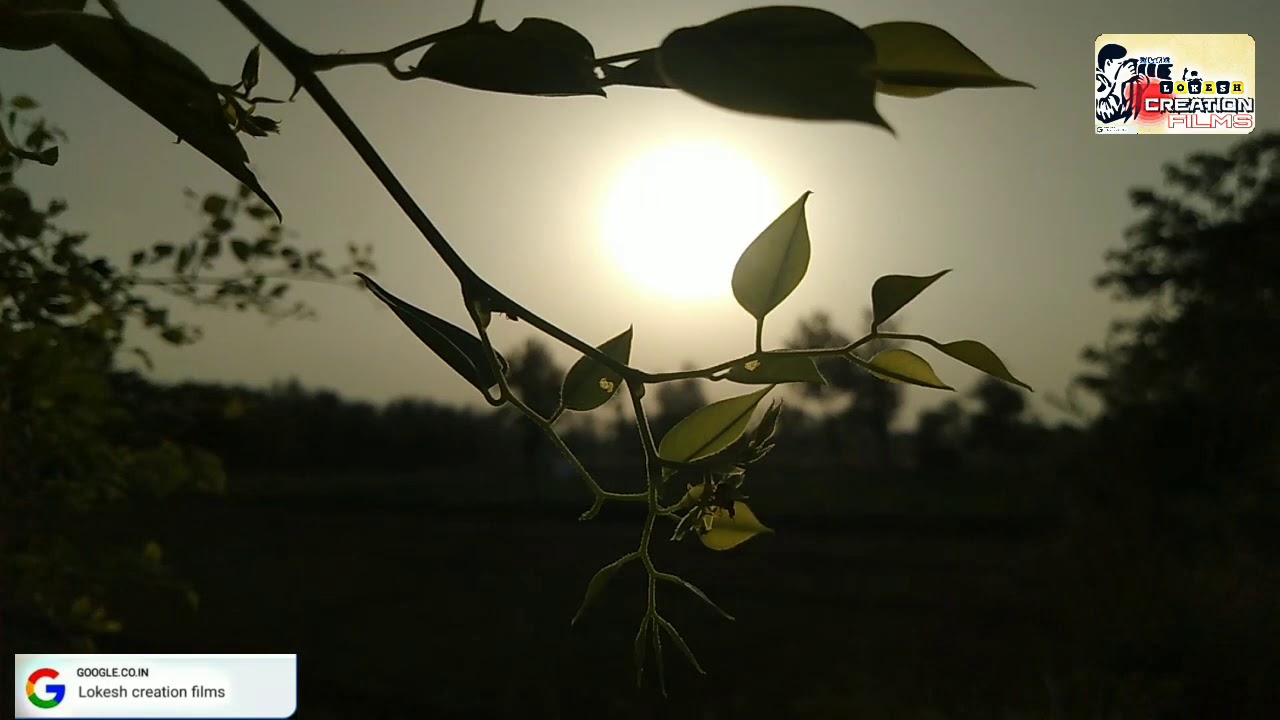 Narora Village nature || beautiful nature India || Narora Bulandshar ...