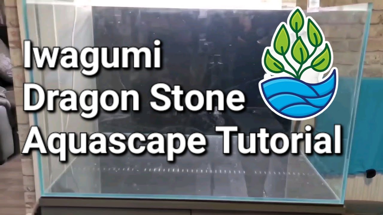 Iwagumi, Dragon Stone Scape - YouTube