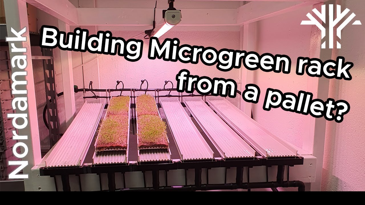 Cheap hydroponic microgreen rack - YouTube