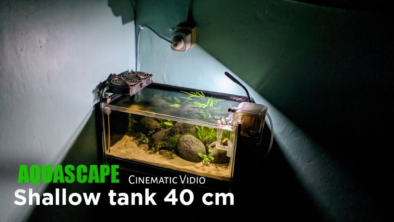Shallow tank AQUASCAPE 40 cm || Cinematic vidio - YouTube