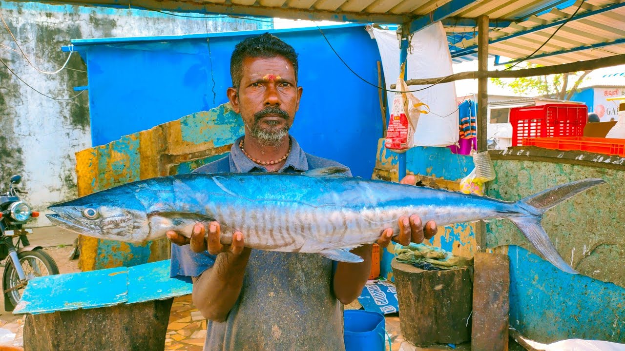 vanjiram fish cutting || video nagapattinam fish market ||👍👍👍#fishcut # ...