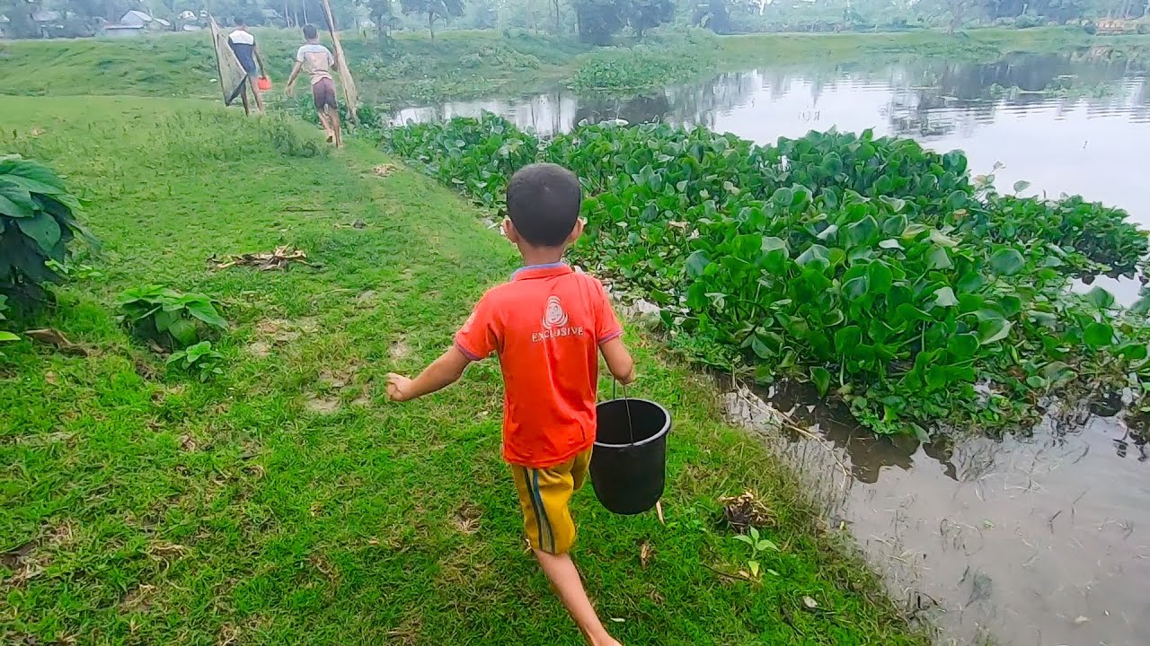 Real Village Boys Fishing From River Fishing by Trevos Net - YouTube