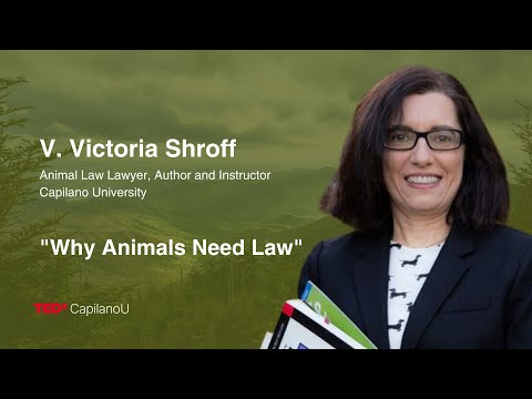 Why Animals Need Law | V. Victoria Shroff | TEDxCapilano U
