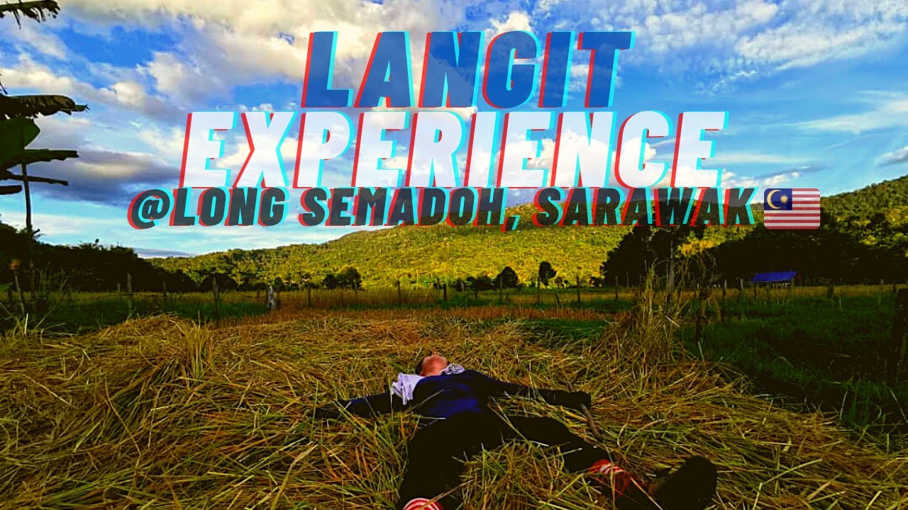 【Langit Experience】🌾Paddy Harvesting 2020 @ Kampung Long Semadoh Naseb ...