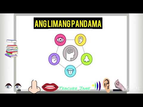 Limang Pandama | five senses | week 7 | kindergarten - YouTube