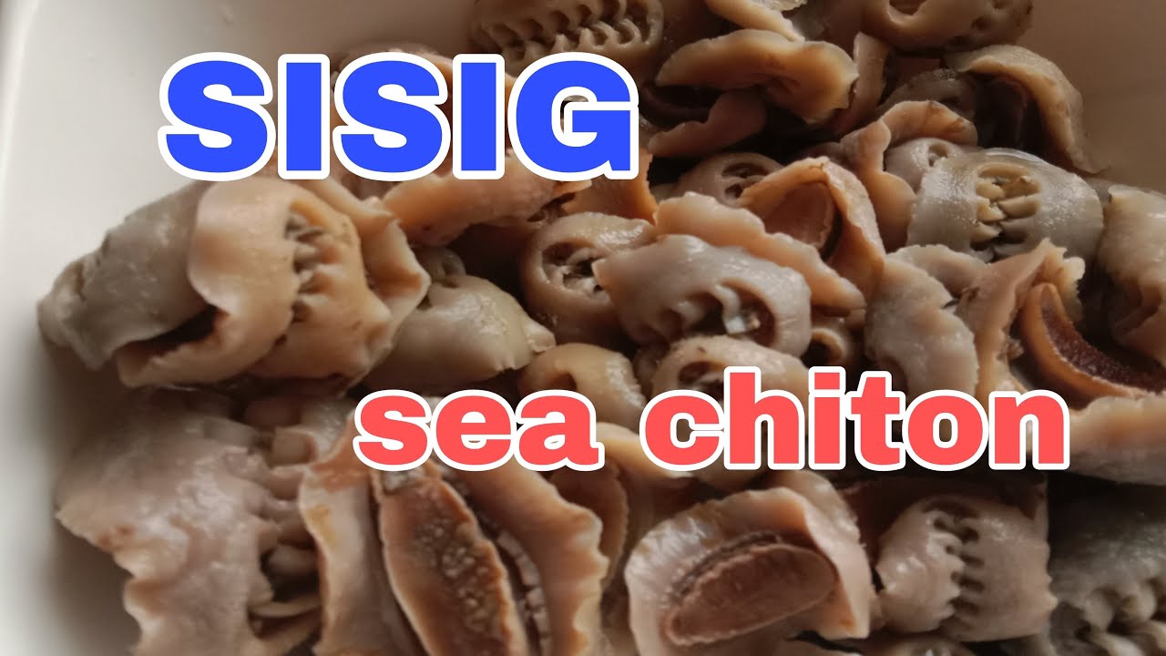 KUYA RAFF is live! SISIG TARUKOG - YouTube
