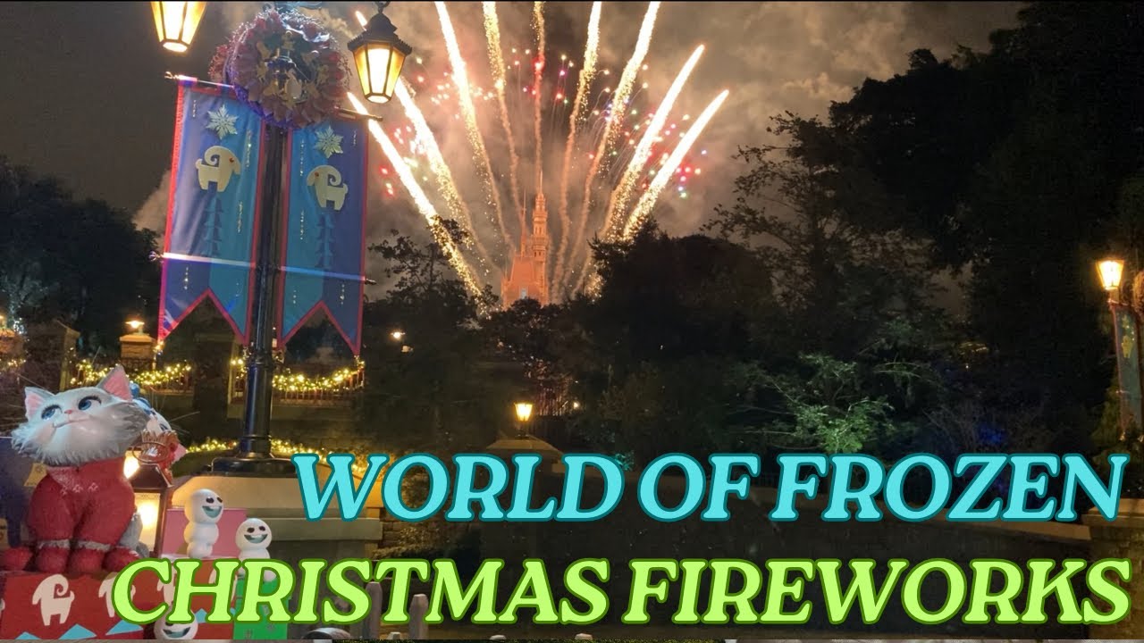 ARENDELLE FIREWORKS in REAL LIFE😱😱WORLD OF FROZEN brought this to ...
