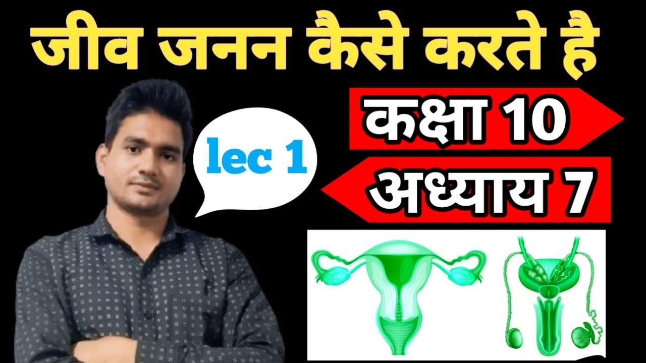 जीव जनन कैसे करते है । # जीवों में जनन।# reproduction in human//manav ...