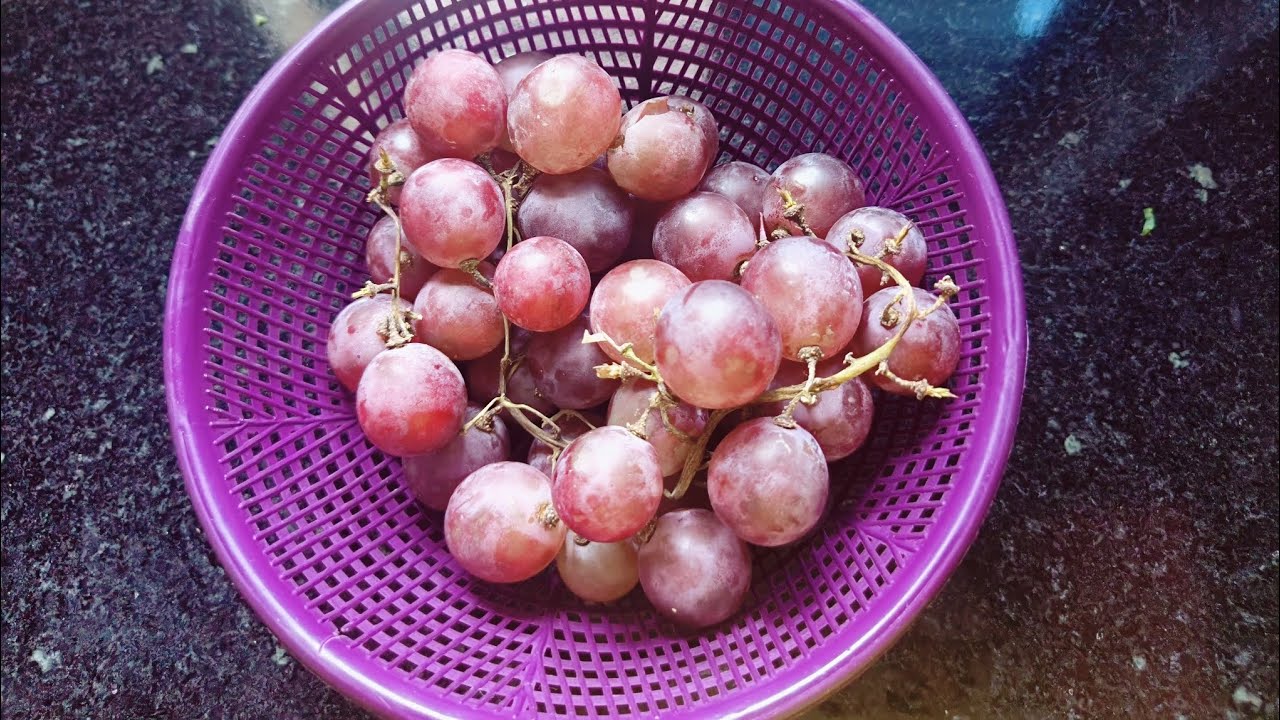 benifit of Red grapes for health vlog channel||red angur ka fayeda vlog ...