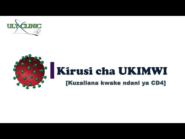 UKIMWI husababishwa na nini? | ULY CLINIC