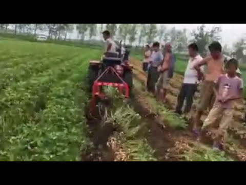 New Machine || Groundnut Harvesting | Peanut groundnut Harvester ...