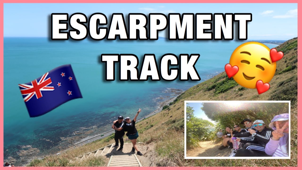 ESCARPMENT TRACK | STAIRWAY TO HEAVEN | PAEKAKARIKI NEW ZEALAND | ROSE ...