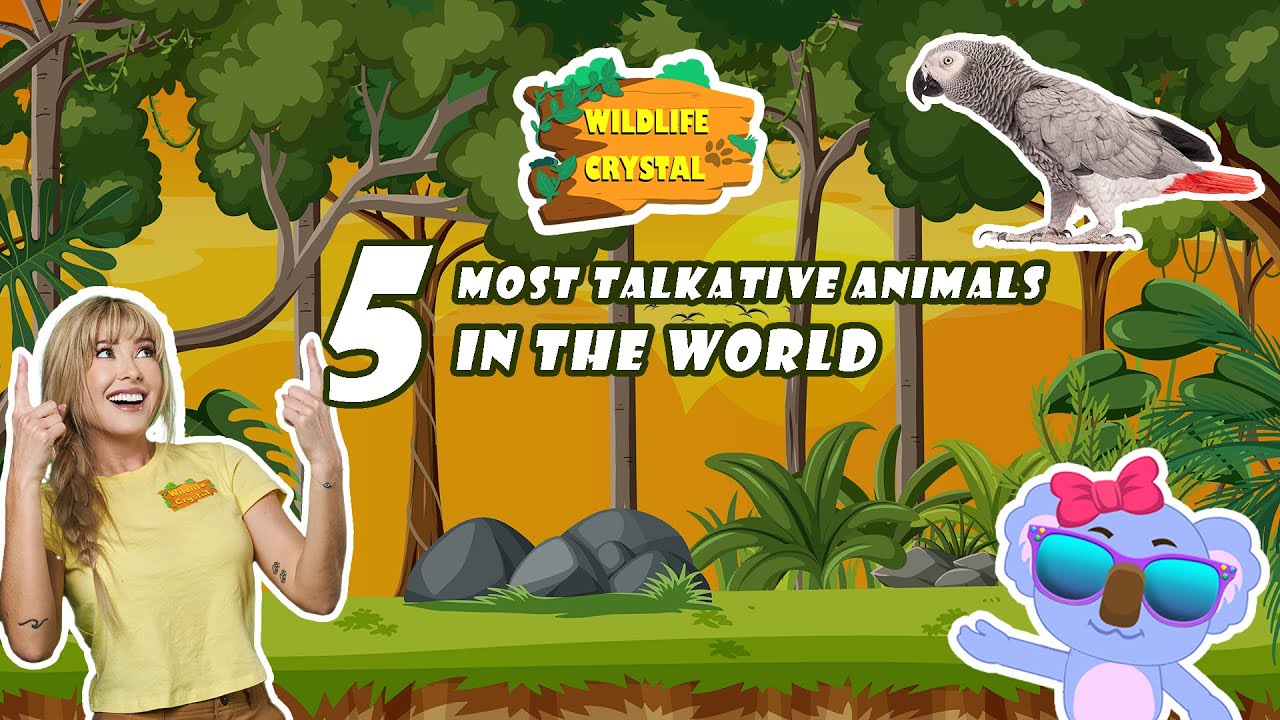 Top 5 Most Talkative Animals - YouTube