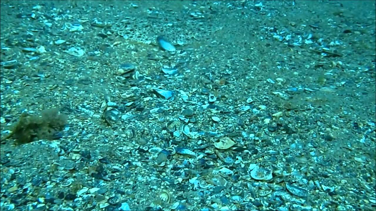 Underwater spring - YouTube