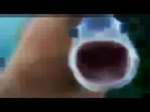 Why Do Women Only Like Killer Fish From San Diego?