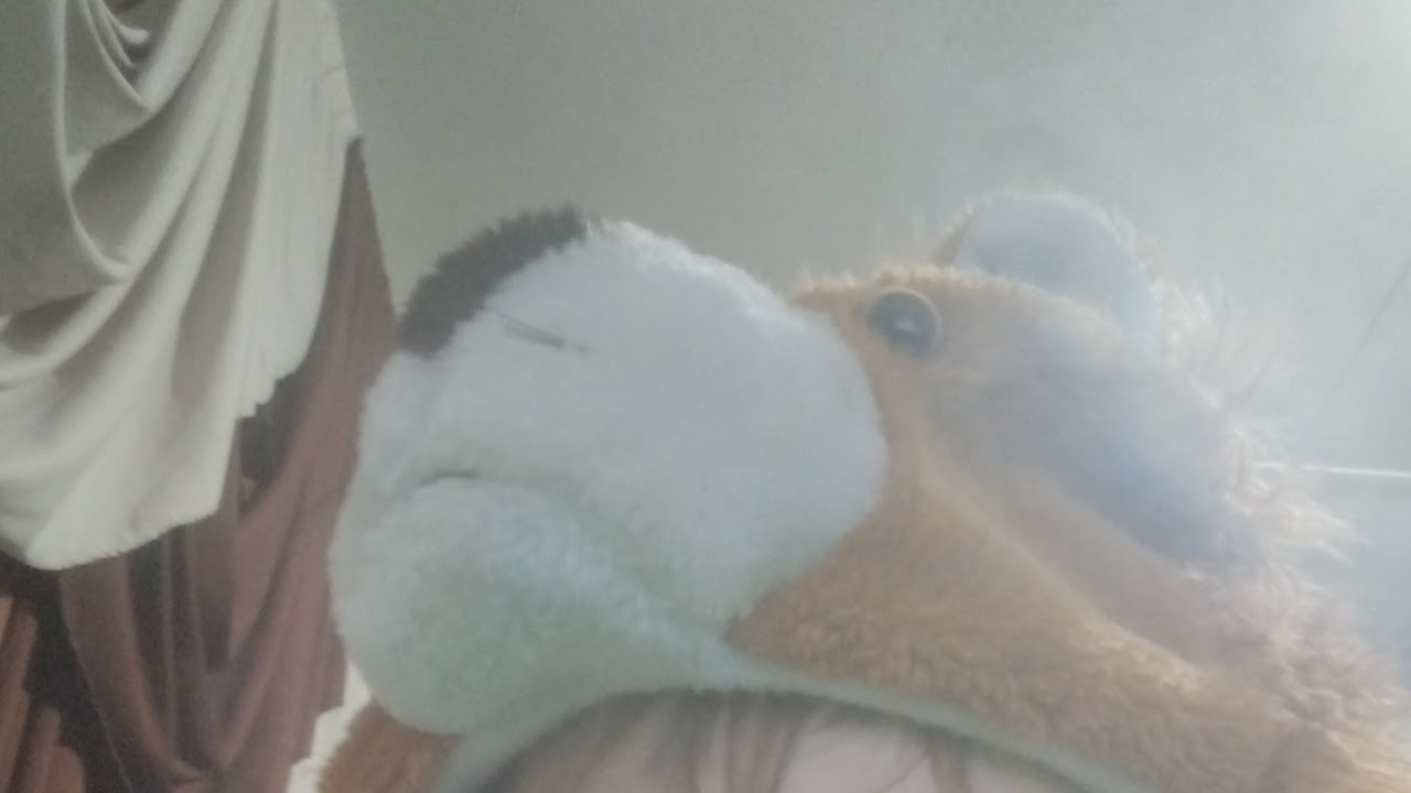 Transmissão ao vivo de Lorenzo Luiz De Andrade - YouTube