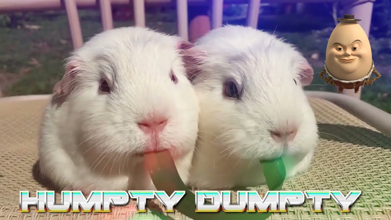 humpty dumpty | humpty dumpty nursery rhyme | humpty | dumpty | Two ...