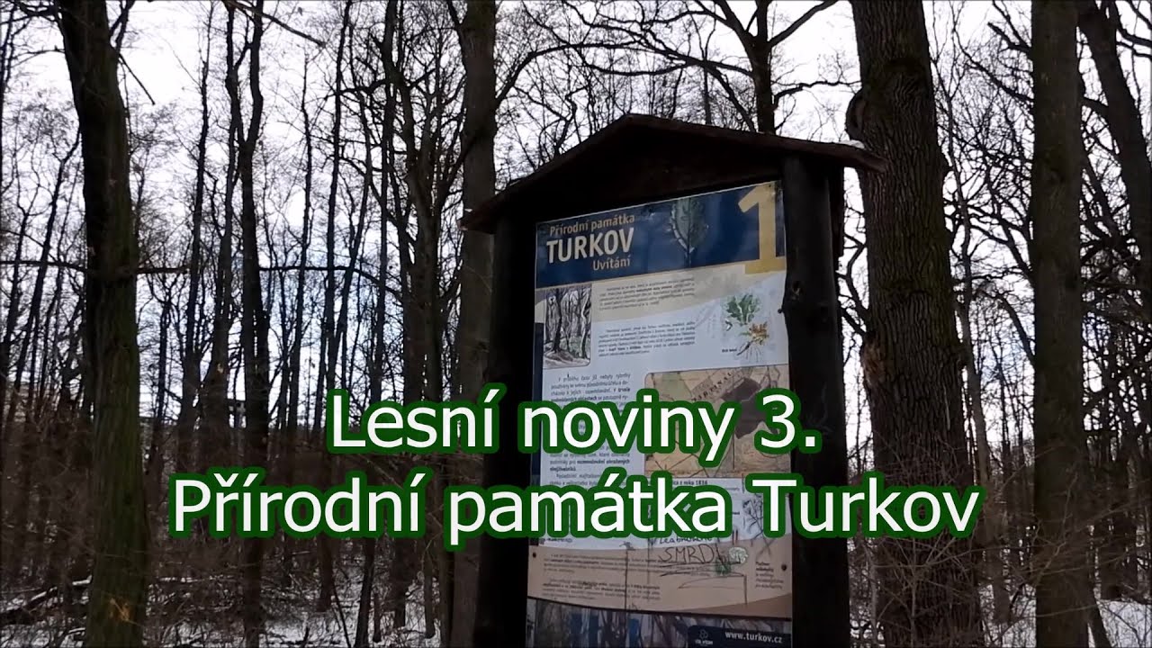 Lesní noviny 3.- Přírodní památka Turkov, Forest newspaper 3.- Natural monument Turkov, - YouTube