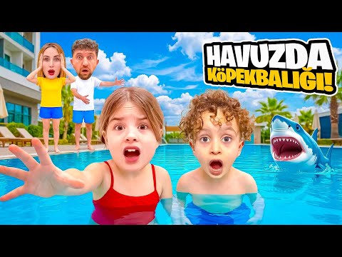 HAVUZDA KÖPEK BALIĞI VAR ‼️ KUZEY ELİF BERAT !!