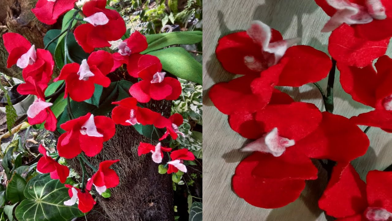 Cara Membuat Bunga Anggrek Merah dari Kain Flanel - YouTube