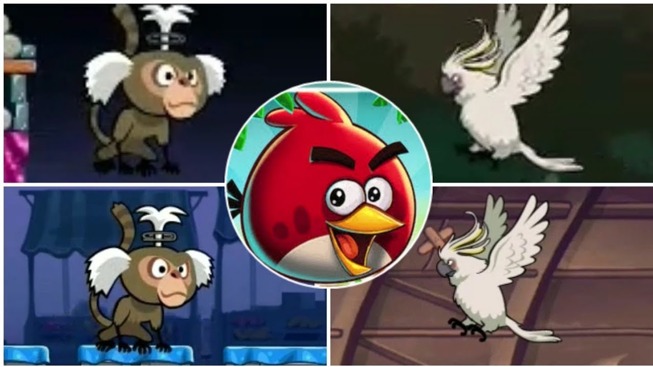 Angry Birds Rio All Bosses + Cutscenes - YouTube