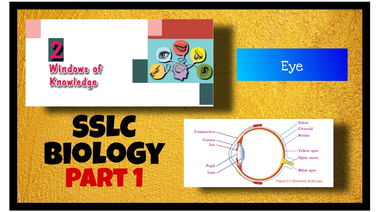 Chapter 2: Windows of knowledge (Part 1) #SSLC Biology#SCERT Biology# ...