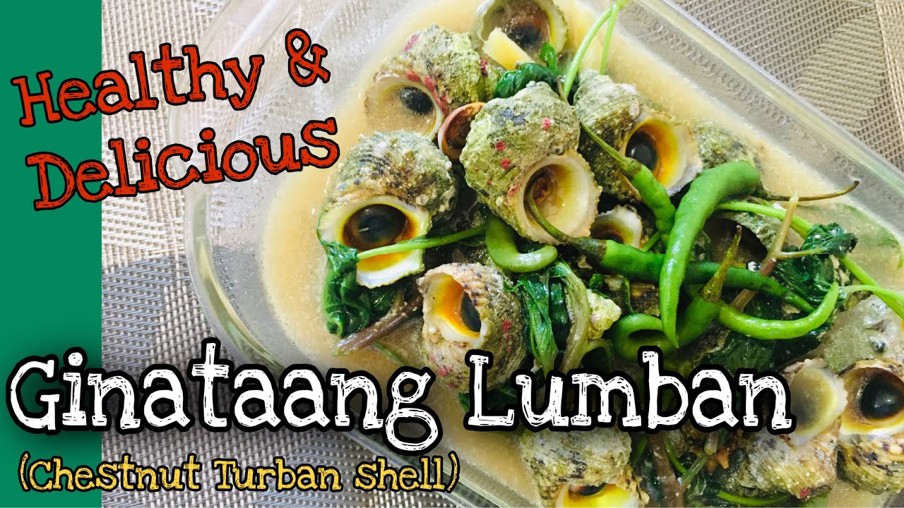 Ginataang Lumban(Chestnut Turban Shell) - YouTube