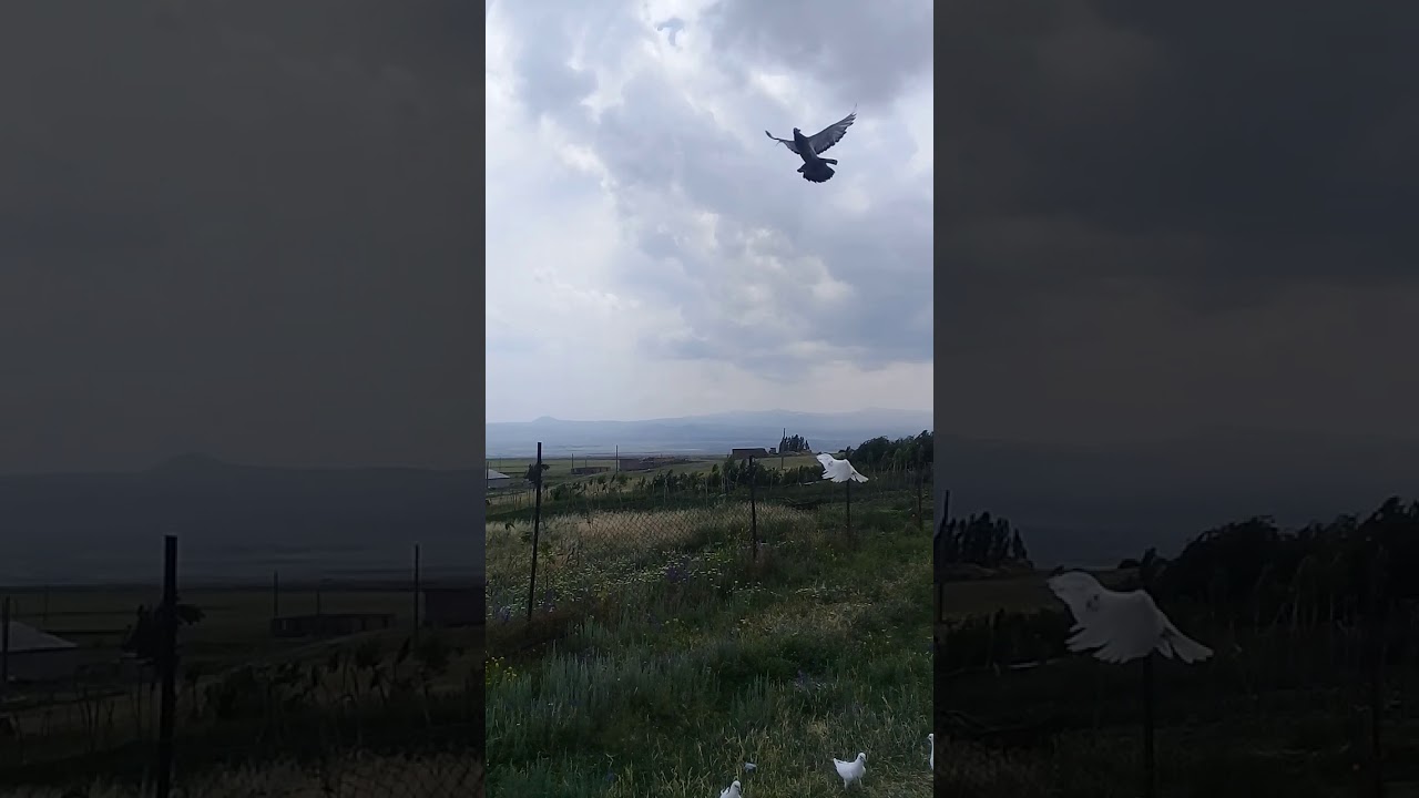 Axavni 777 - YouTube