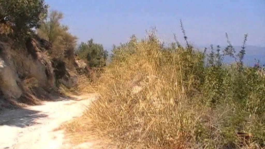 ΘΕΟΛΟΓΟΣ - ΛΕΚΟΥΝΑ - ΜΑΛΕΣΙΝΑ ( ΑΓΡΙΑ ΟΜΟΡΦΙΑ - ΓΗ & ΘΑΛΑΣΣΑ ) - YouTube